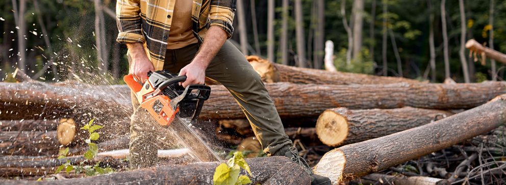 Ausbildung zum Forstwirt / in | Arbeiten mit Holz