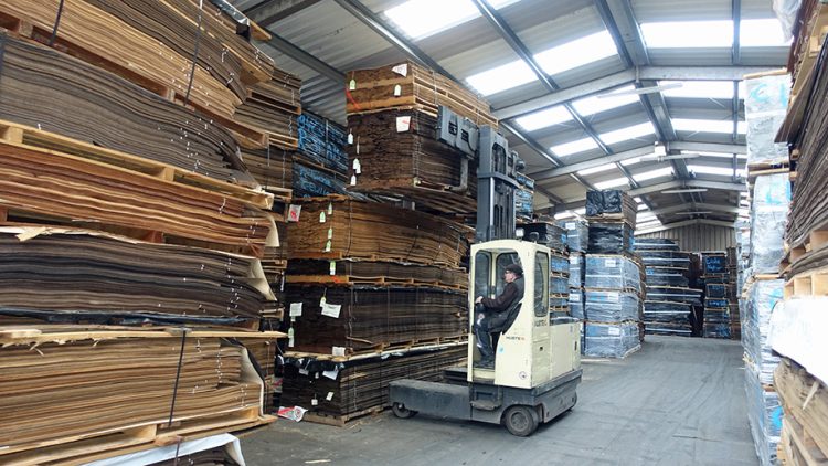 Furnier - Wissenswertes zum Werkstoff - Holz vom Fach