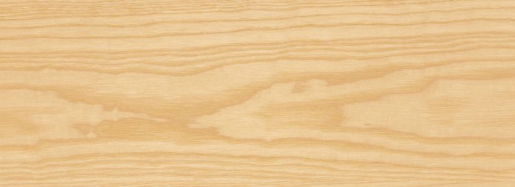 Esche - Definition und Merkmale