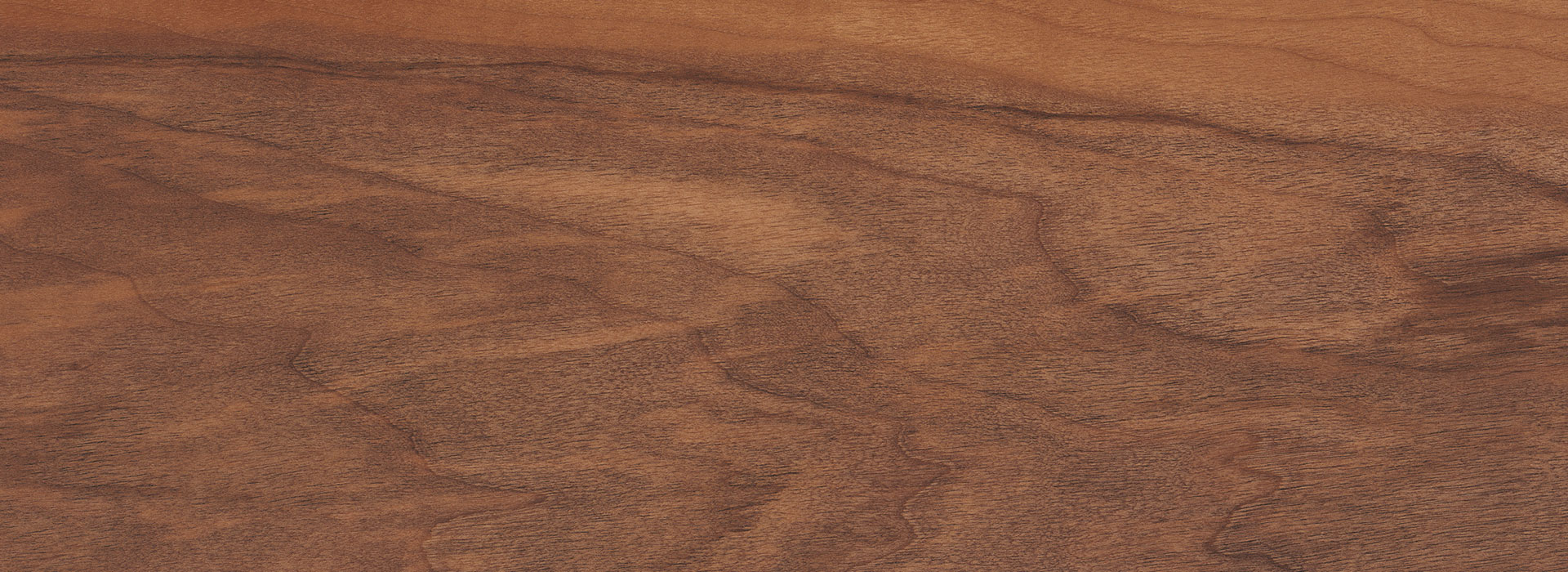 Nussbaum (europäisch) - Definition und Merkmale